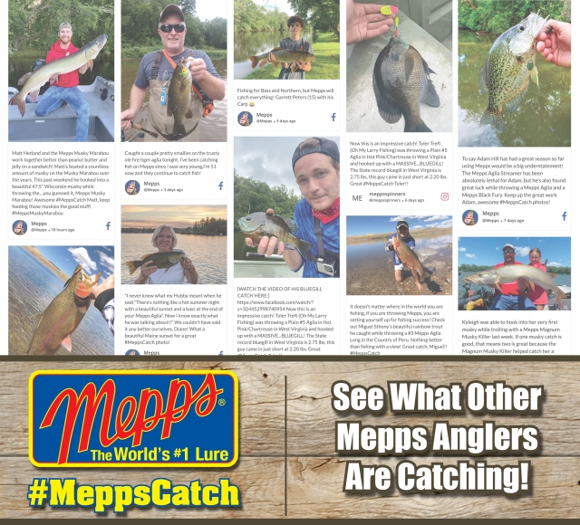 Mepps Fishing Spinners and Spoons - Shop Now!